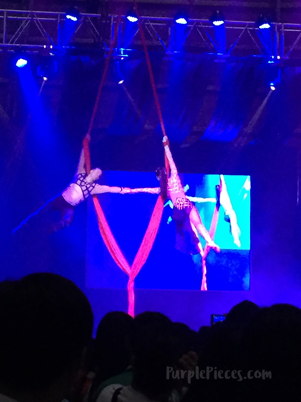Snowmaiden: A Russian Love Story (An Aerial and Acrobatic Showcase) in ...