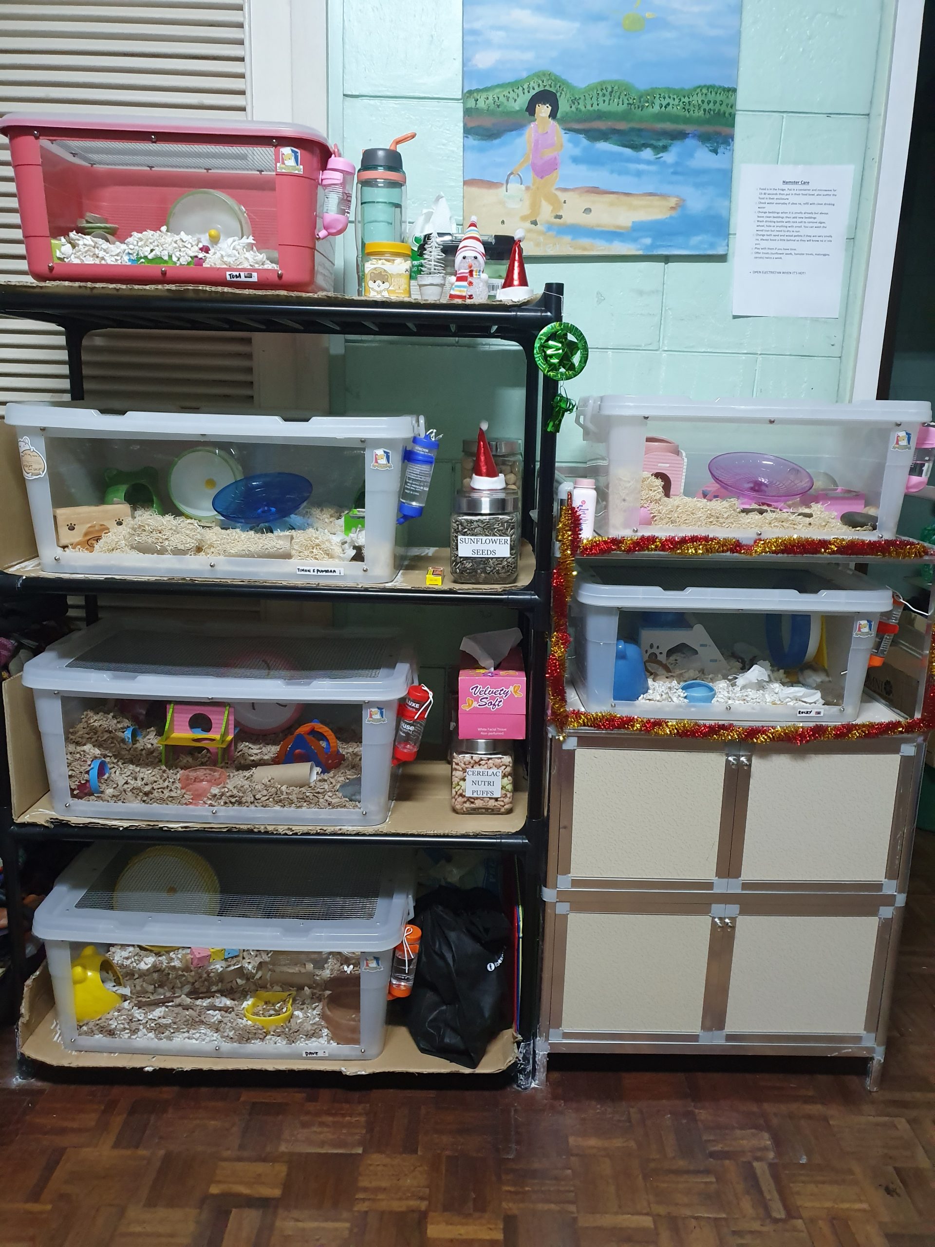PHK Hamster Love